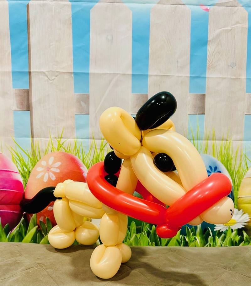 Brennan's Balloon Animals - Let's Twist!