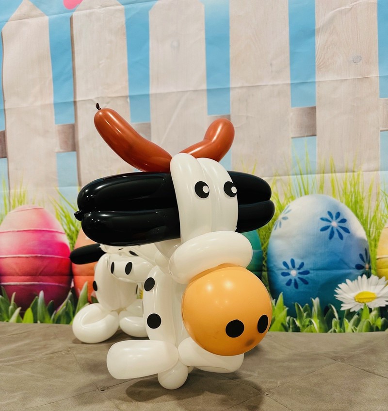 Brennan's Balloon Animals - Let's Twist!