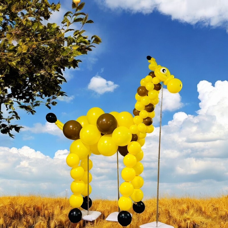 Brennan's Balloon Animals - Let's Twist!